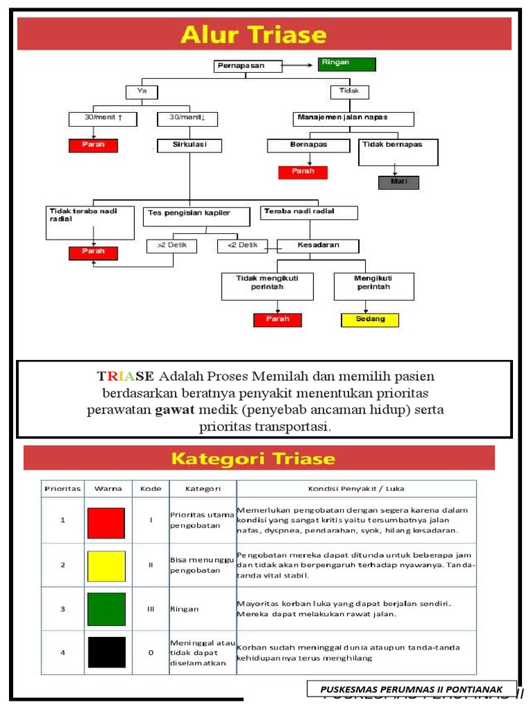Alur Triase | PDF