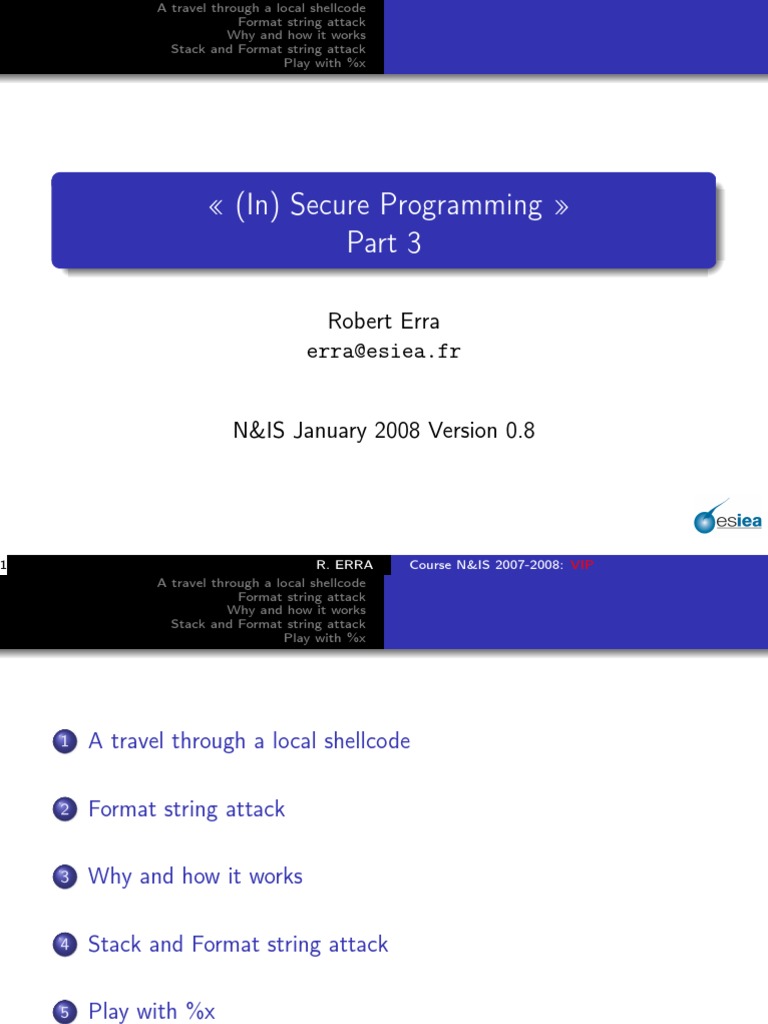 (In) Secure Programming : Robert Erra Erra@ | PDF | Computer Data ...