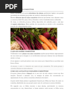 10 Plantas Silvestres Comestíveis e Seus Usos | PDF | Plantas ...