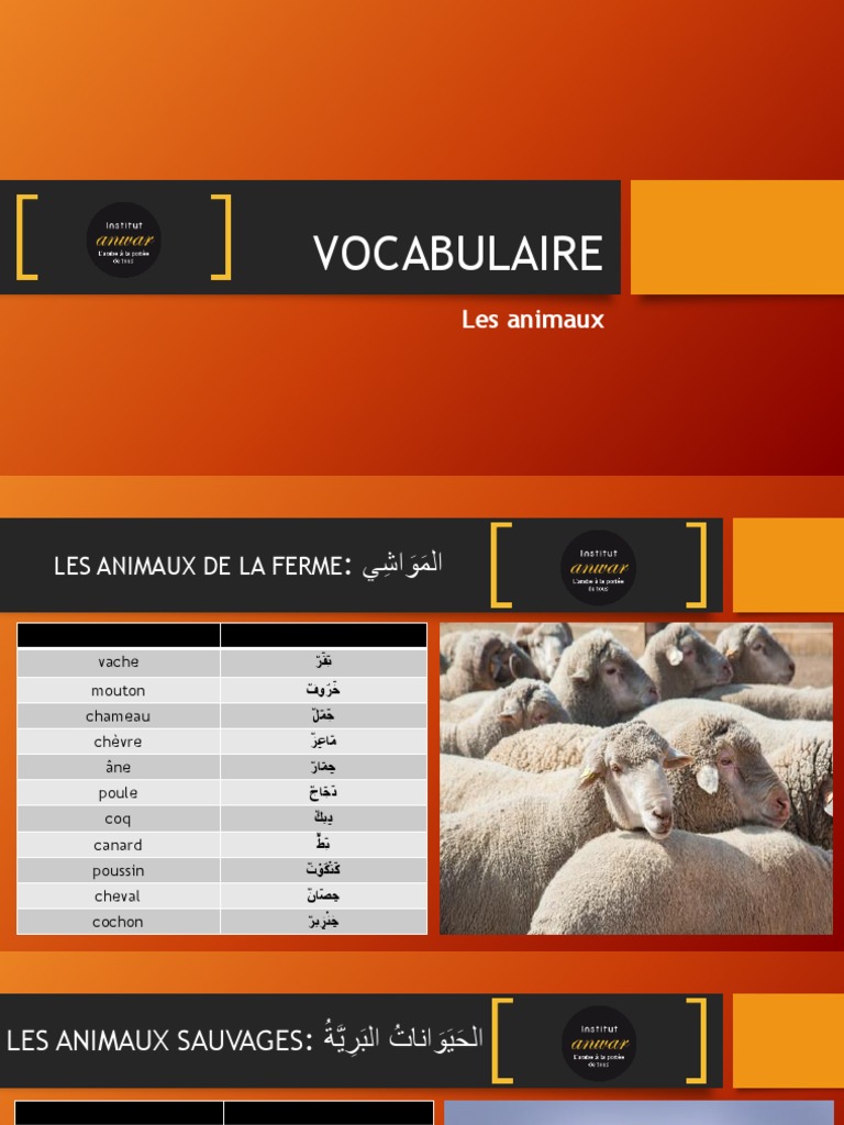 Animaux : Vocabulaire Bilingue | PDF