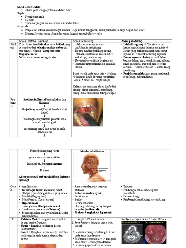 Abses Leher Dalam | PDF