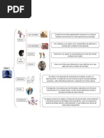 Mapa Conceptual Etica y Moral | PDF | Moralidad | Comportamiento