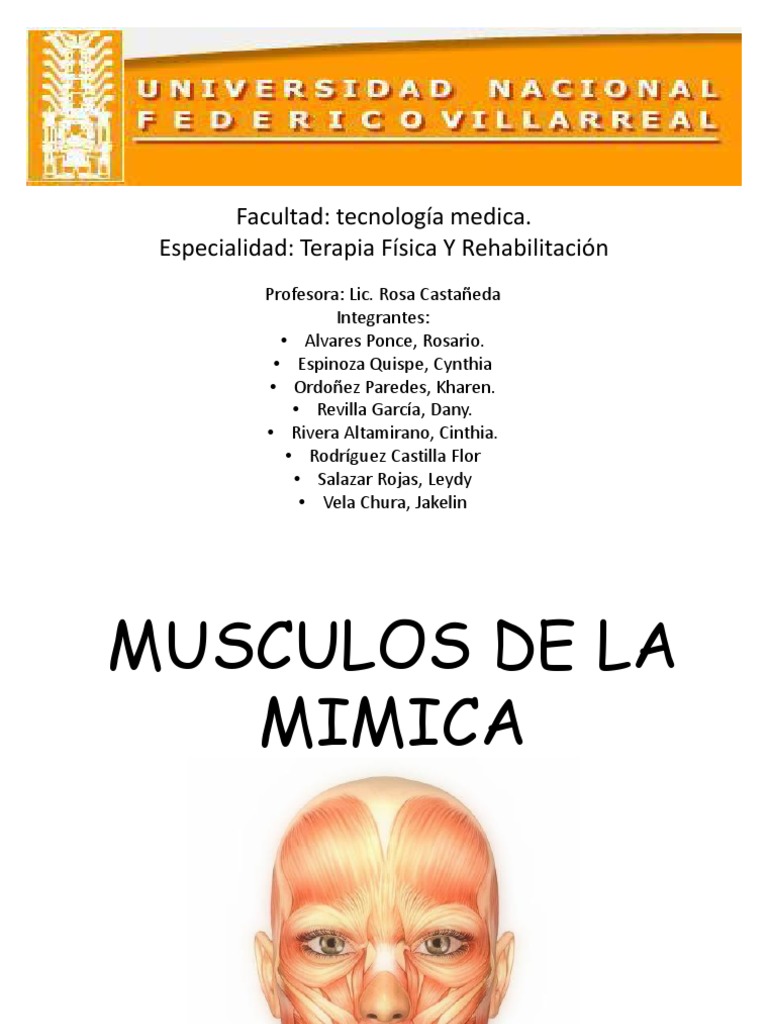 Músculos de la Mímica Facial | PDF | Tejido suave | Anatomia animal