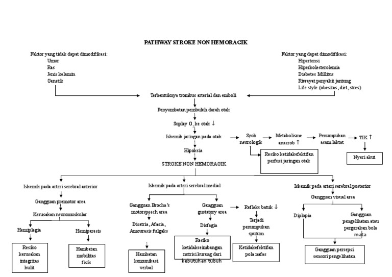 Woc CVD Non Hemoragic | PDF