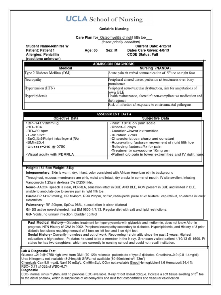 Geriatric Nursing Care Plan | Download Free PDF | Diabetes Mellitus ...