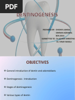 Dental Pulp: Structure and Functions | PDF | Dentin | Histology
