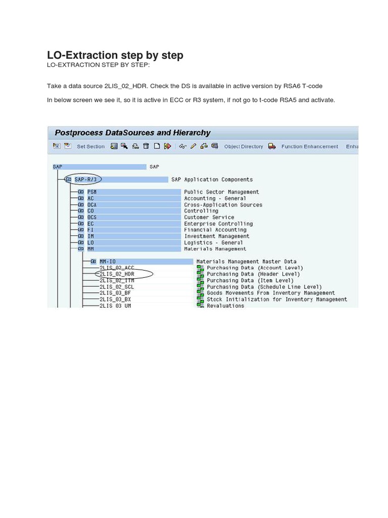 Lo-Extraction Step by Step | PDF