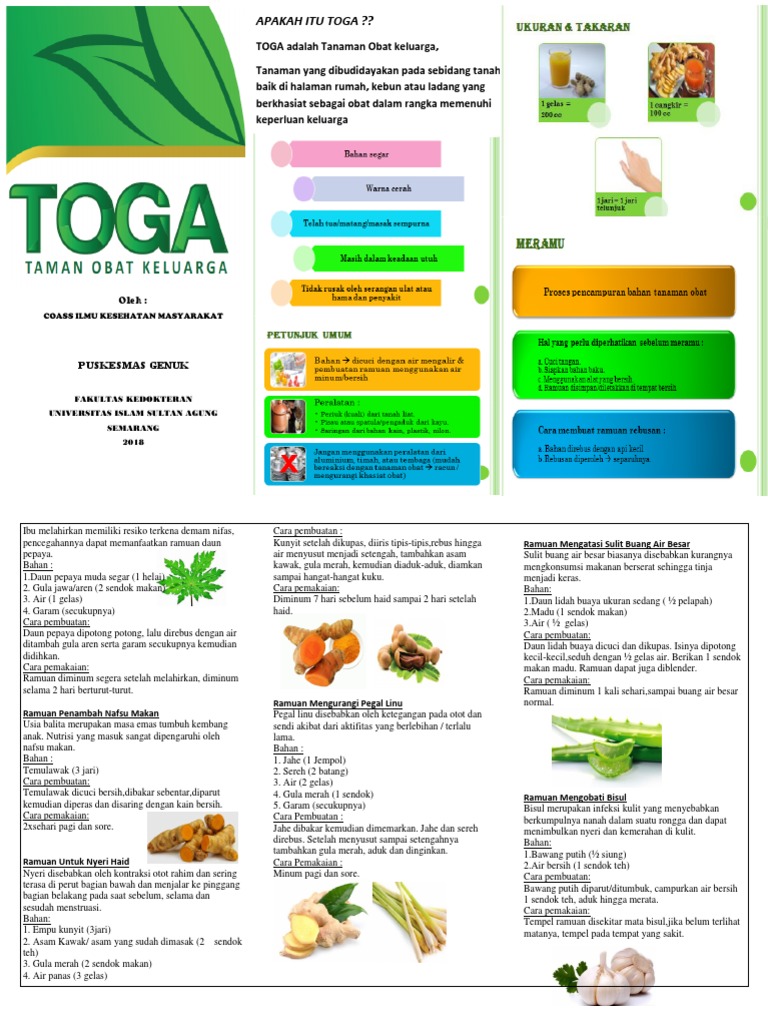 Leaflet Ramuan Tanaman Toga | PDF