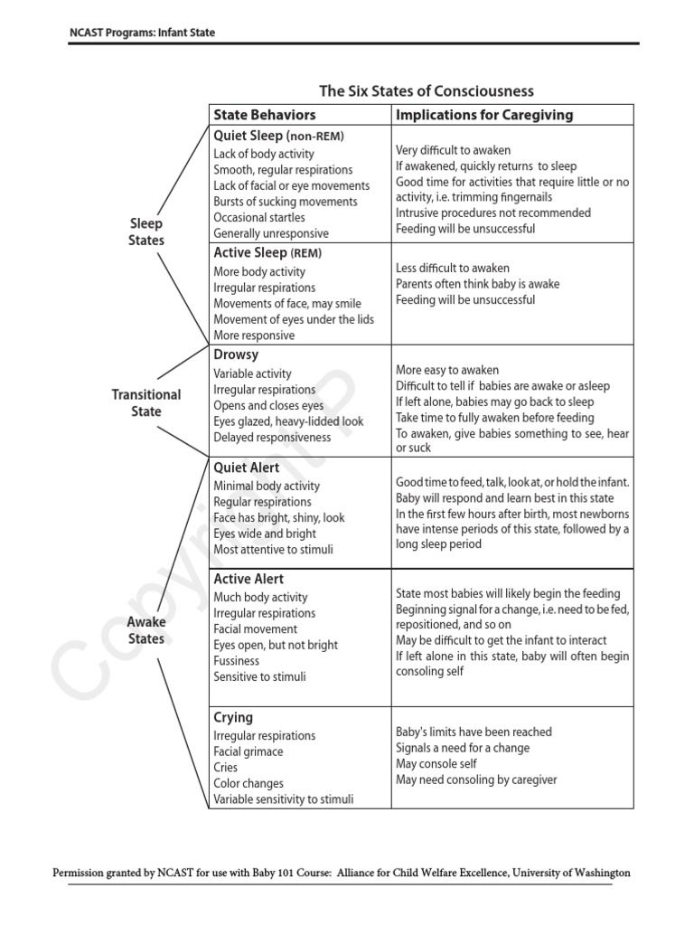 12 Infant States | Download Free PDF | Infants | Human Life Stages