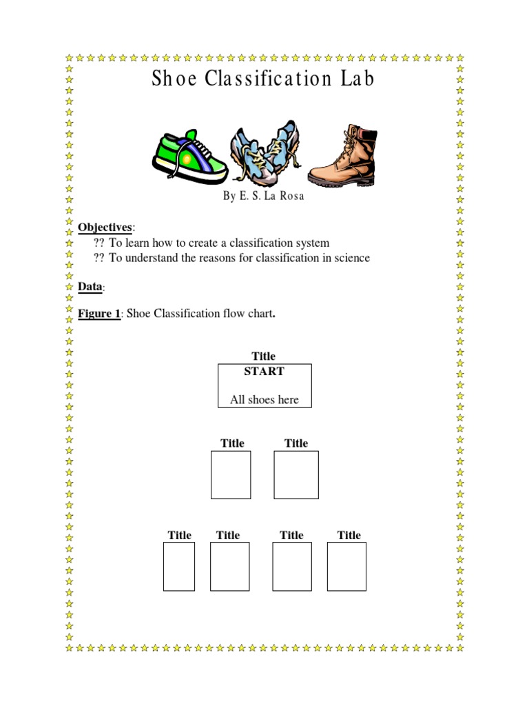 Shoe Classification | PDF