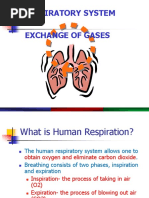 Ppt-Grade 9 - Respiratory System | PDF | Respiratory Tract | Lung