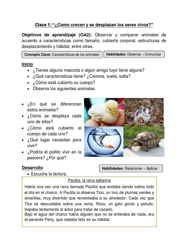 Exploración de Animales y Plantas | PDF | Pluma | Plantas