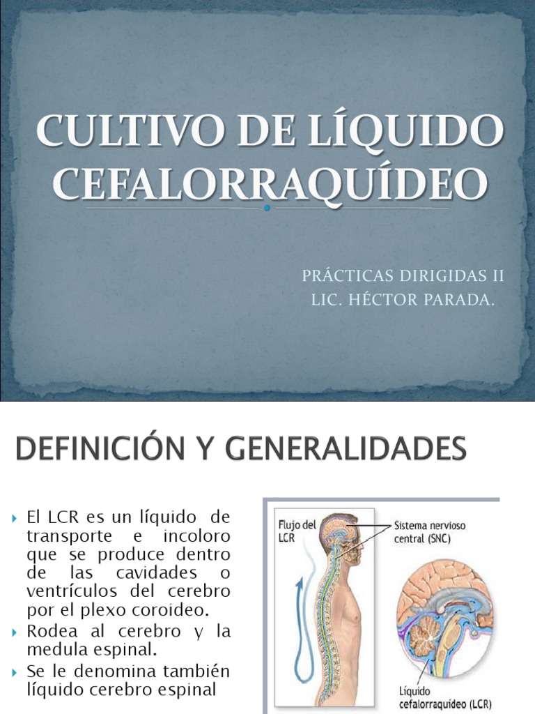 Liquido Cefalo Raquideo | PDF | Fluido cerebroespinal | Sistema ...