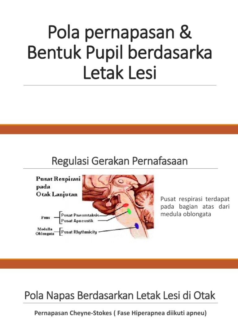 Pola Pernapasan & Bentuk Pupil Berdasarka Letak Lesi | PDF