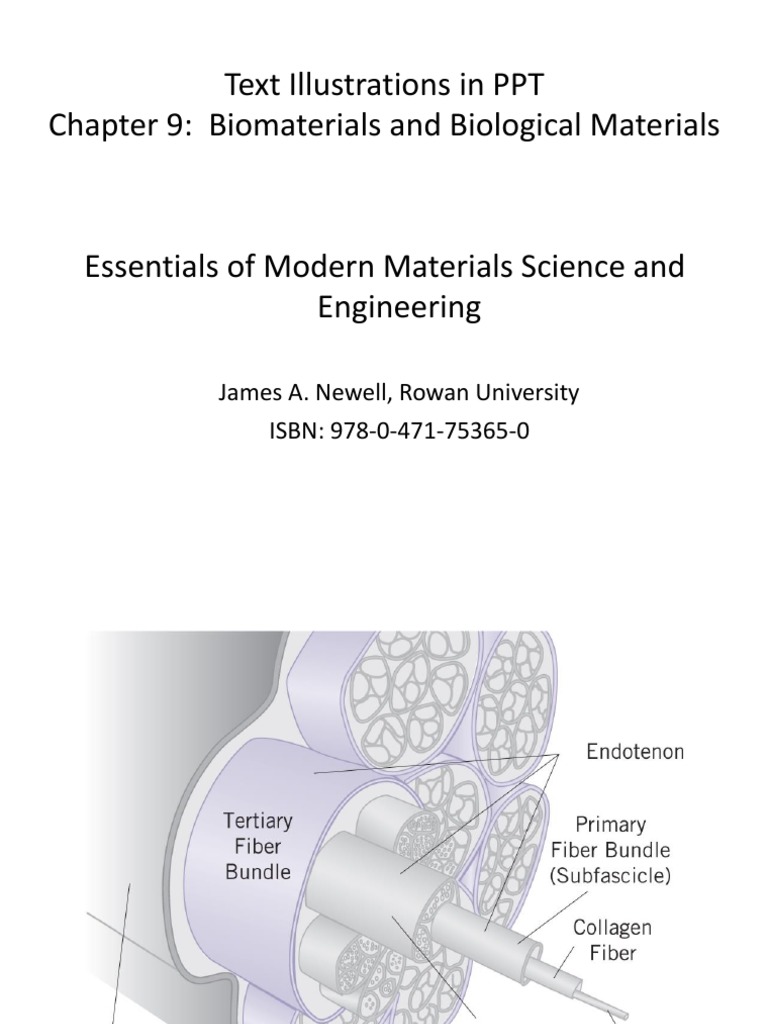 Text Illustrations in PPT Chapter 9: Biomaterials and Biological ...