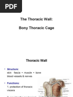 Thorax I & II Complete Anatomy Adil Bandok | PDF