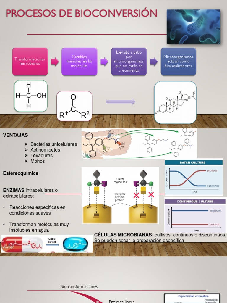 Procesos de Bioconversión | PDF