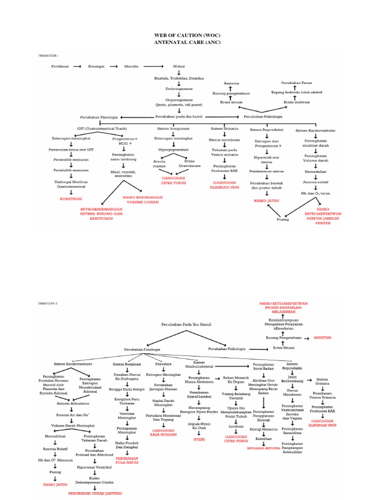Web of Caution (Woc) Antenatal Care (Anc) | PDF