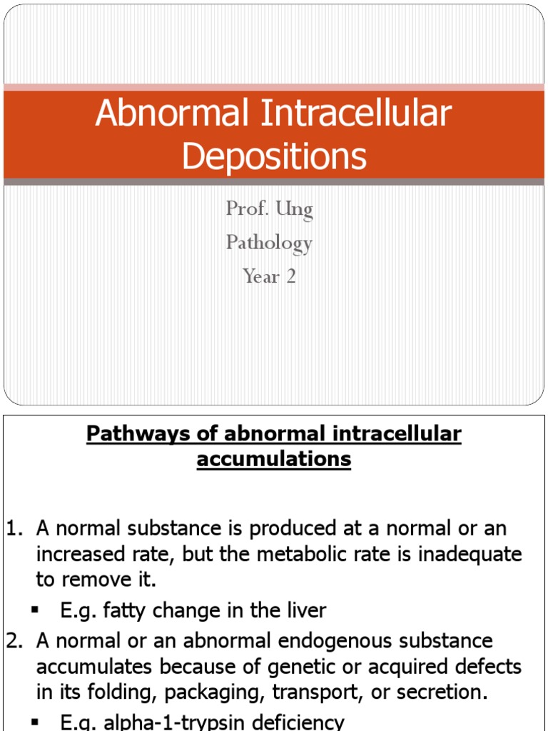 Abnormal Intracellular Depositions | PDF | Anatomy | Cell Biology