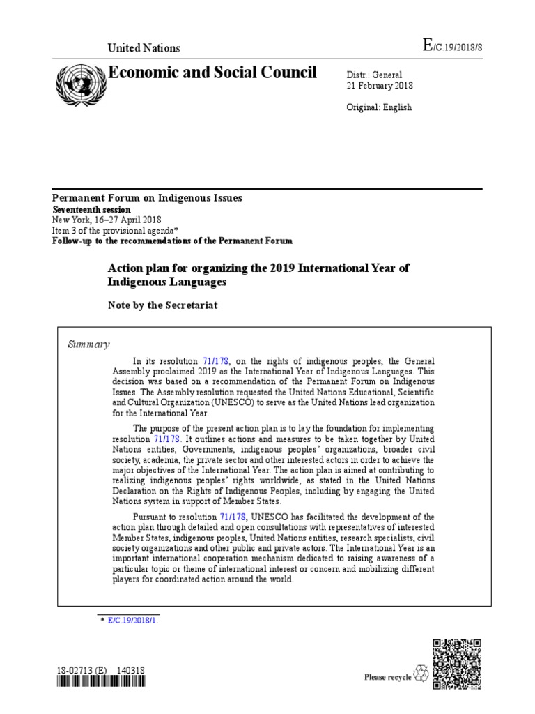 Action Plan For Organizing The 2019 International Year of Indigenous ...