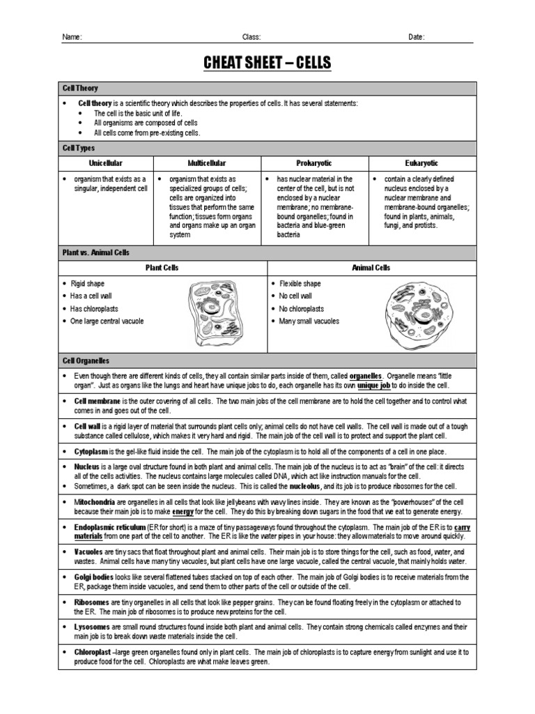 Cells Cheat Sheet | Download Free PDF | Cell (Biology) | Endoplasmic ...