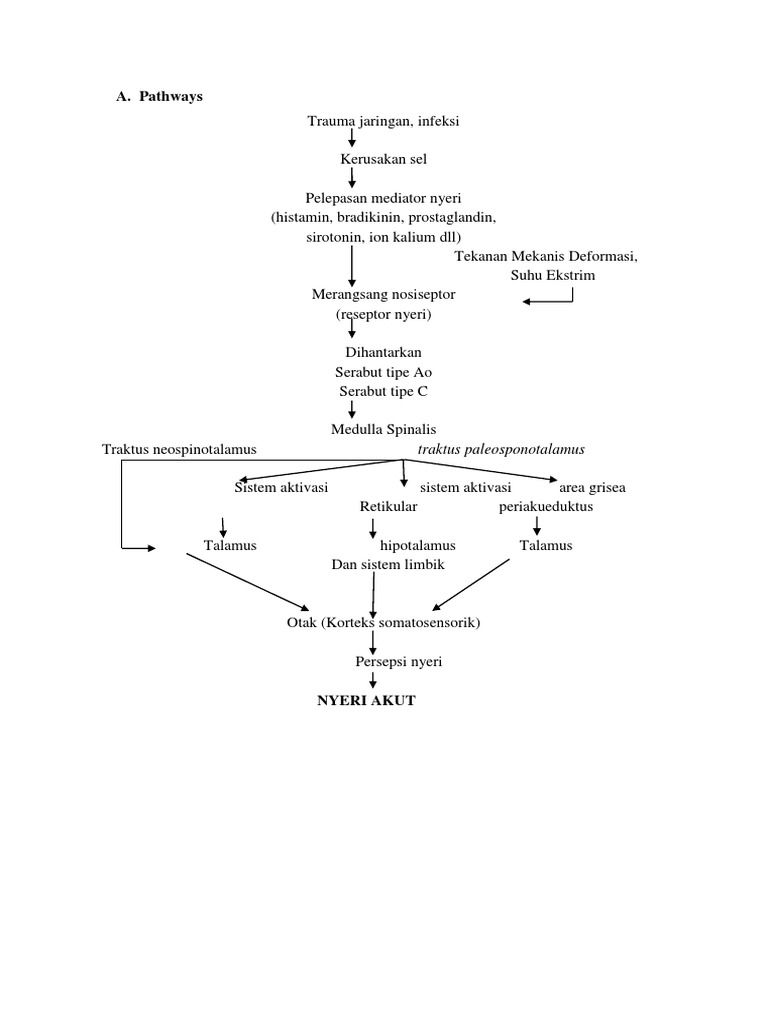 Pathways Nyeri | PDF