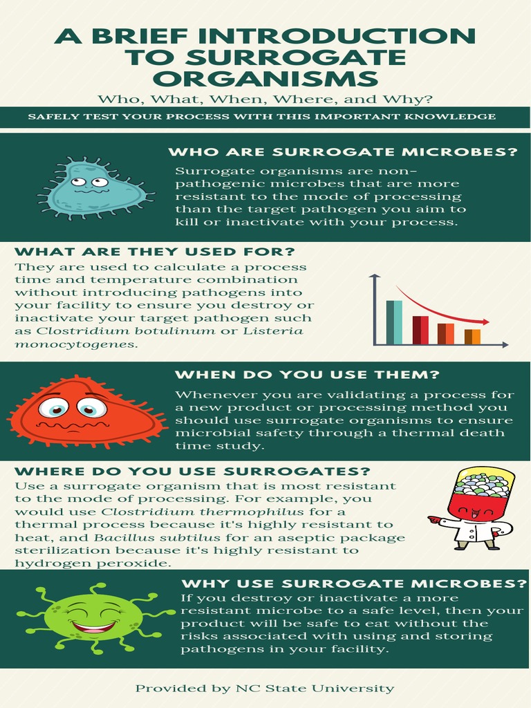 Green Modern Process Infographic | PDF