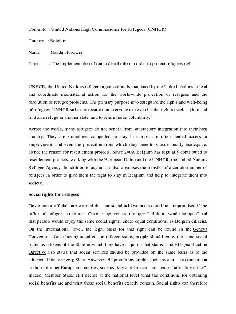 Position Paper UNHCR | PDF | Refugee | United Nations High Commissioner ...