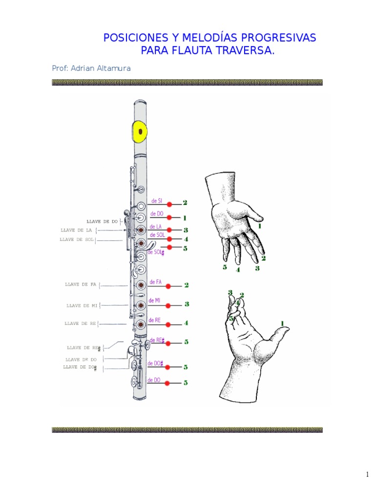 Flauta Traversa | PDF | Artes del Lenguaje y Comunicación | Estudios de ...