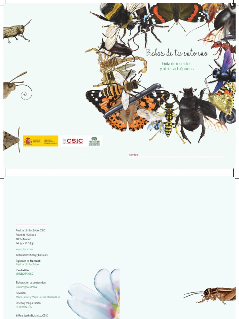Taller Insectos PDF | PDF | Mosca | Abejorro
