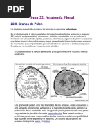 Morfología y Estructura del Polen | PDF | Polen | Flores