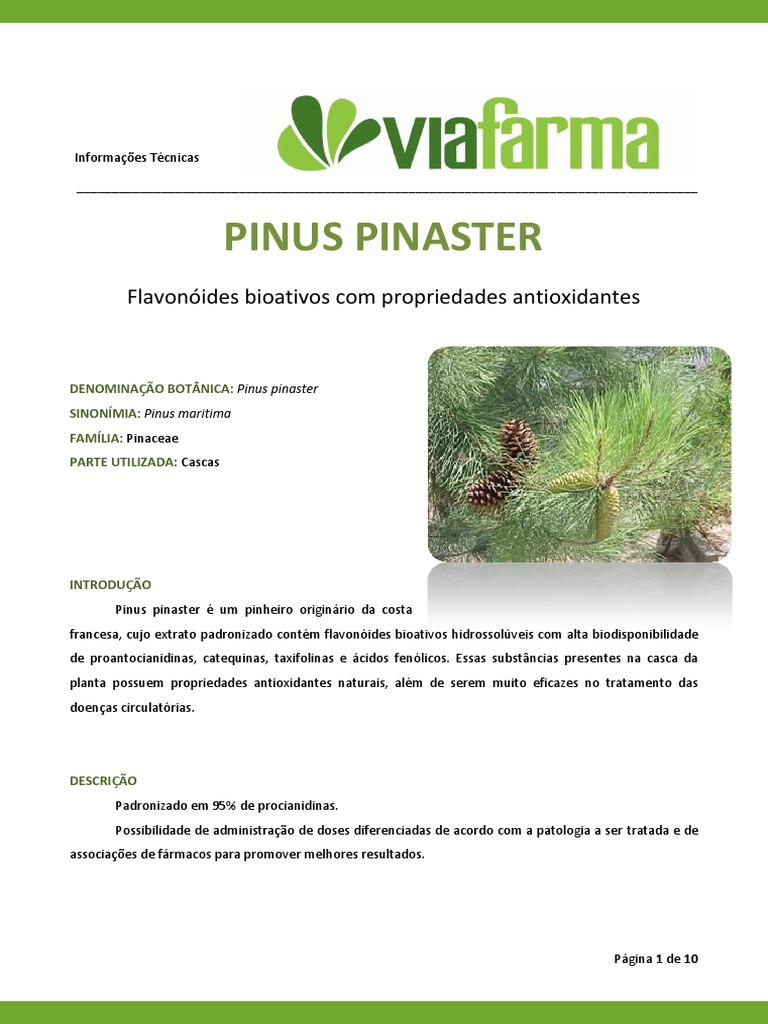 Pinus Pinaster | PDF | Inflamação | Dor