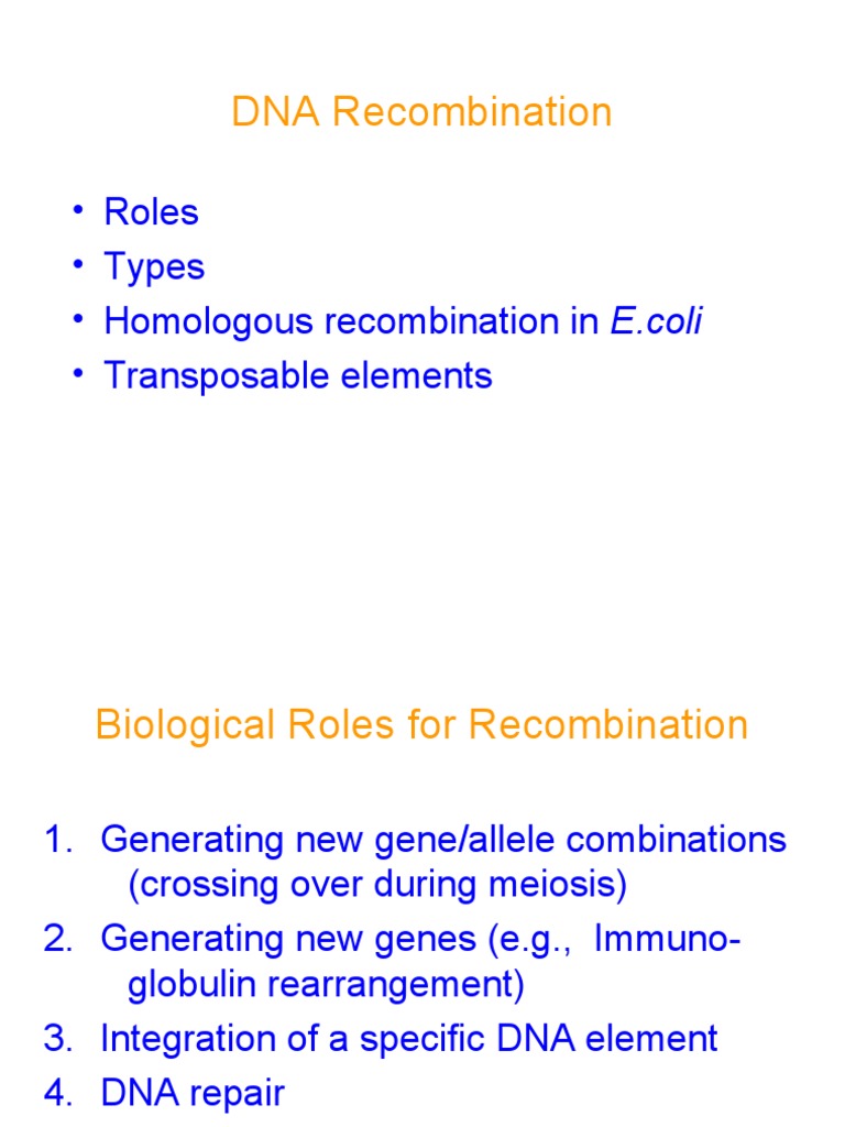 DNA Recombination: - Roles - Types - Homologous Recombination in E.coli ...