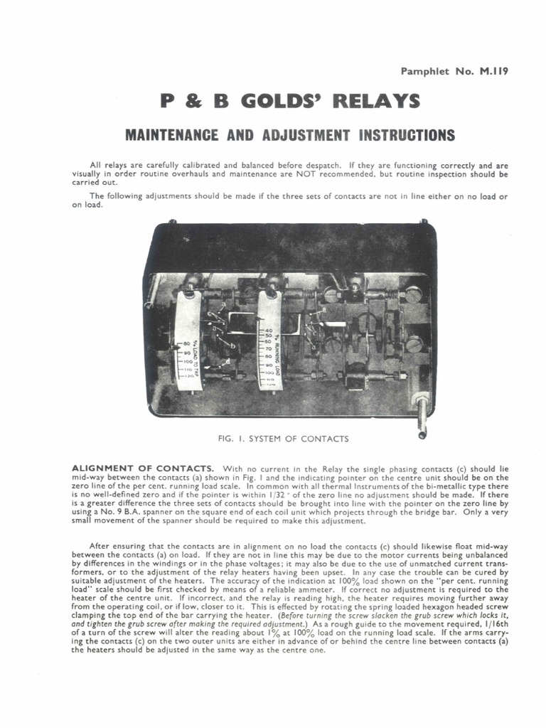PB Golds Relay Manual PDF | PDF