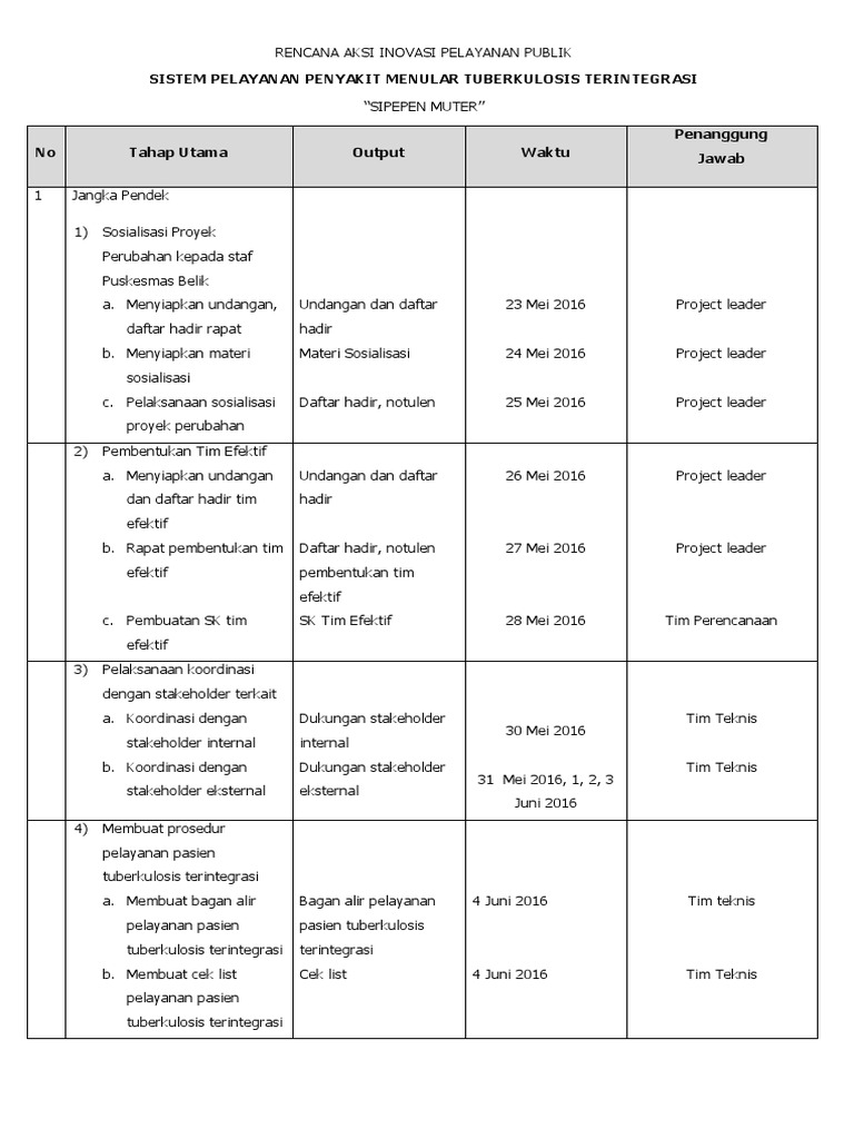 Rencana Aksi Inovasi Pelayanan Publik | PDF