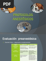 PROTOCOLO ASA Final - Paola Pérez | PDF | Anestesia | Cirugía