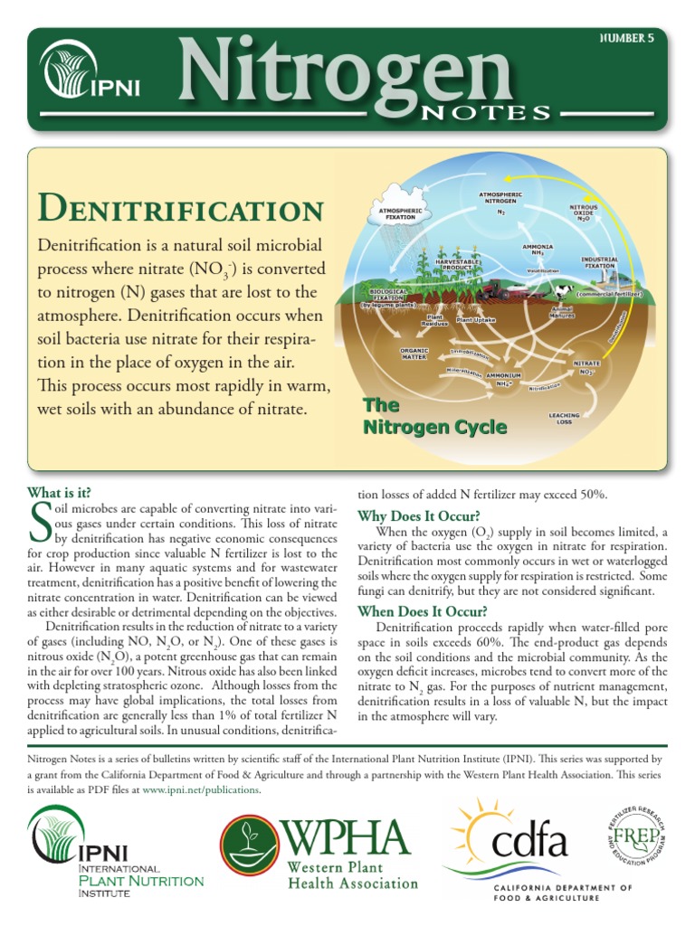 NitrogenNotes en 5 | PDF | Fertilizer | Nitrous Oxide