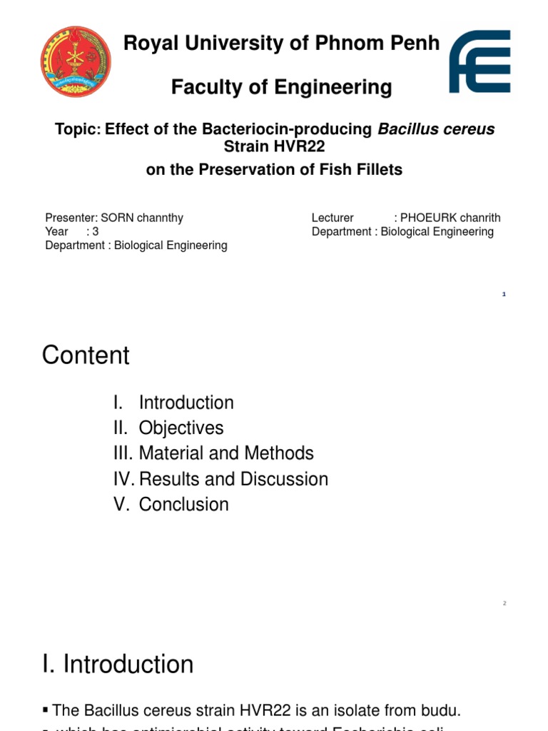 Chan Thy | PDF | Bacillus | Escherichia Coli