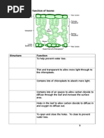IGCSE Biology Topic 8 Transport in Plants Presentation | PDF | Leaf ...