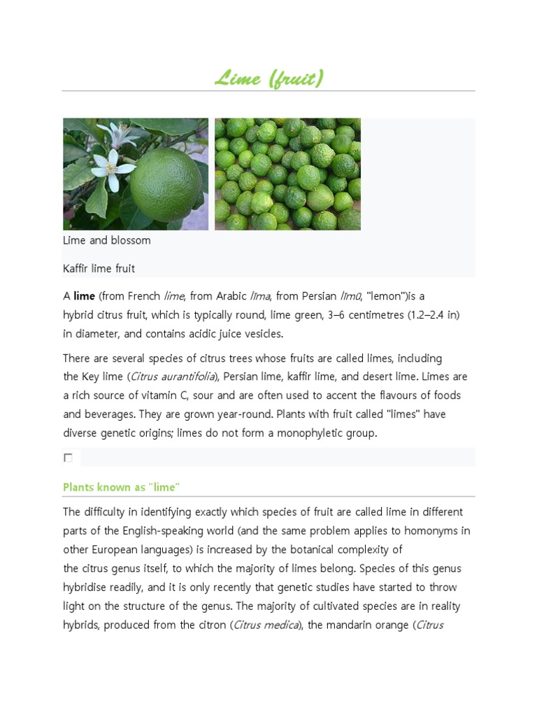 Lime | PDF | Lime (Fruit) | Citrus