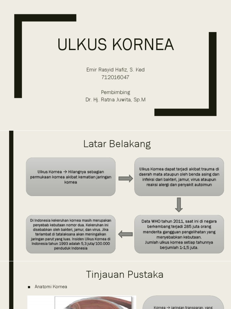 Ulkus Kornea | PDF