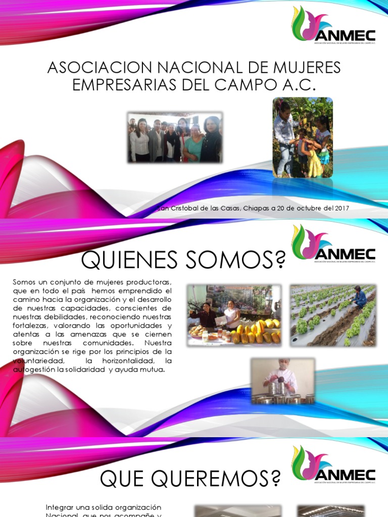 Presentacion Anmec | PDF