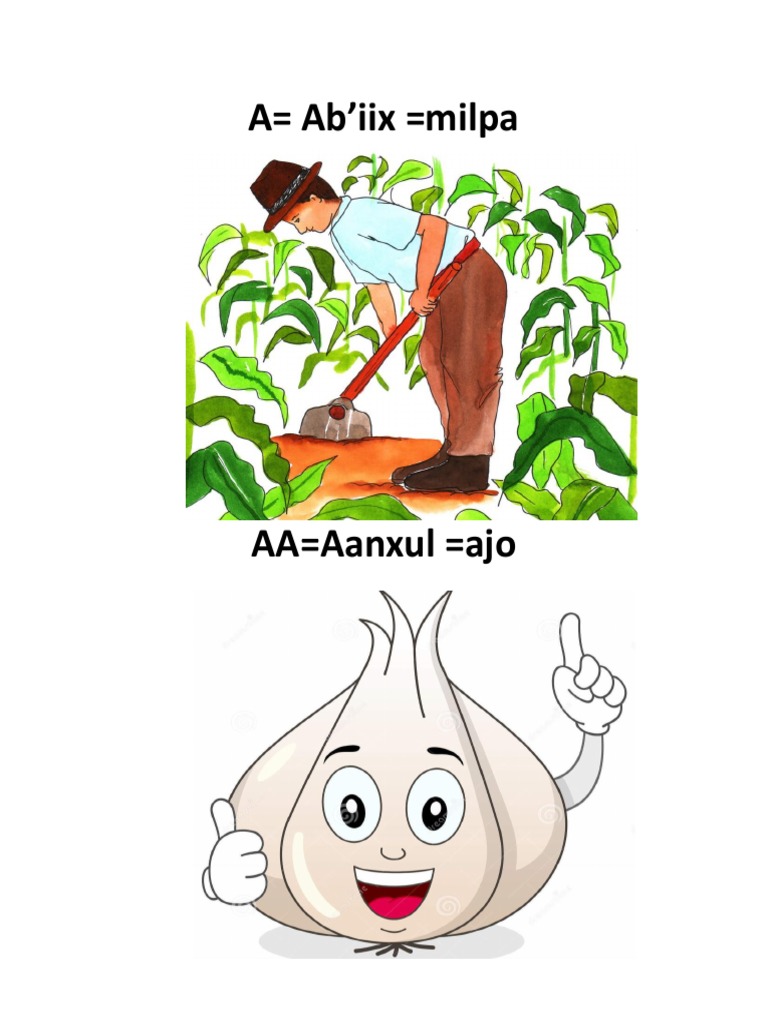 Album Poqomam | PDF
