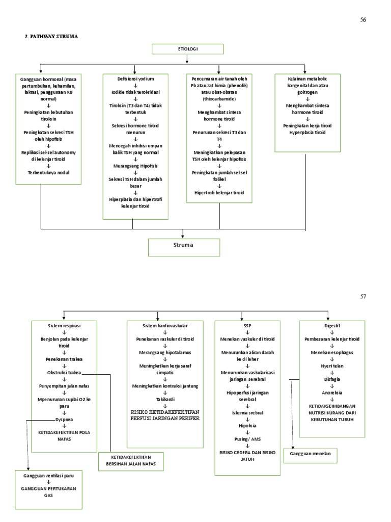 Pathway Struma | PDF