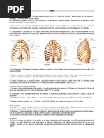 Tipos de Torax | PDF | Tórax | Sistema esquelético