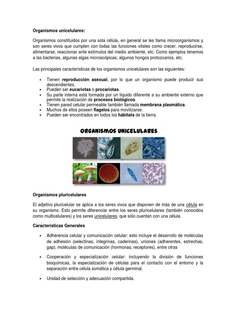 Organismos Unicelulares y Pluricelulares | PDF | Biología Celular ...