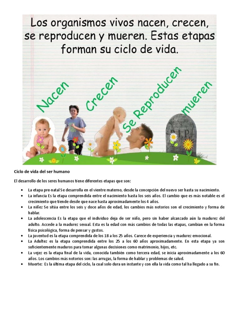 Ciclo de Vida Del Ser Humano | PDF | Adultos | Etapas de la vida humana