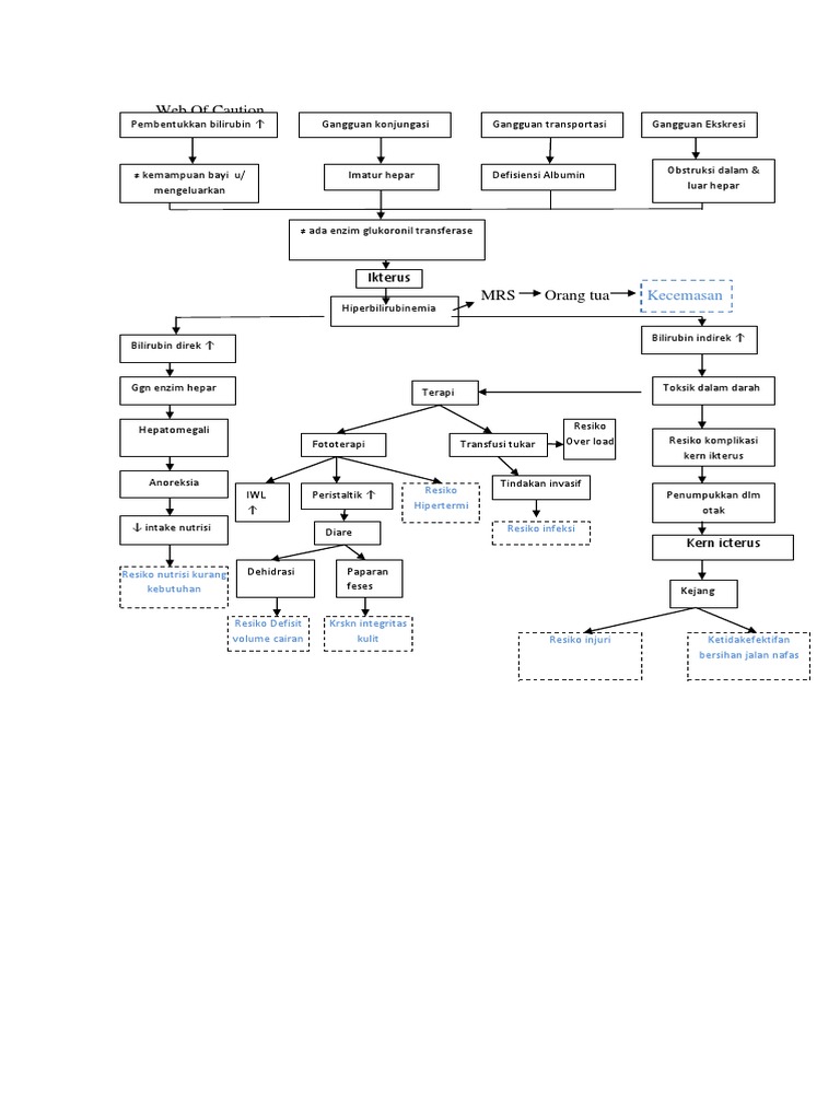 WOC Ikterus | PDF