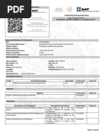 Carta de Terminos y Condiciones NPIE | PDF