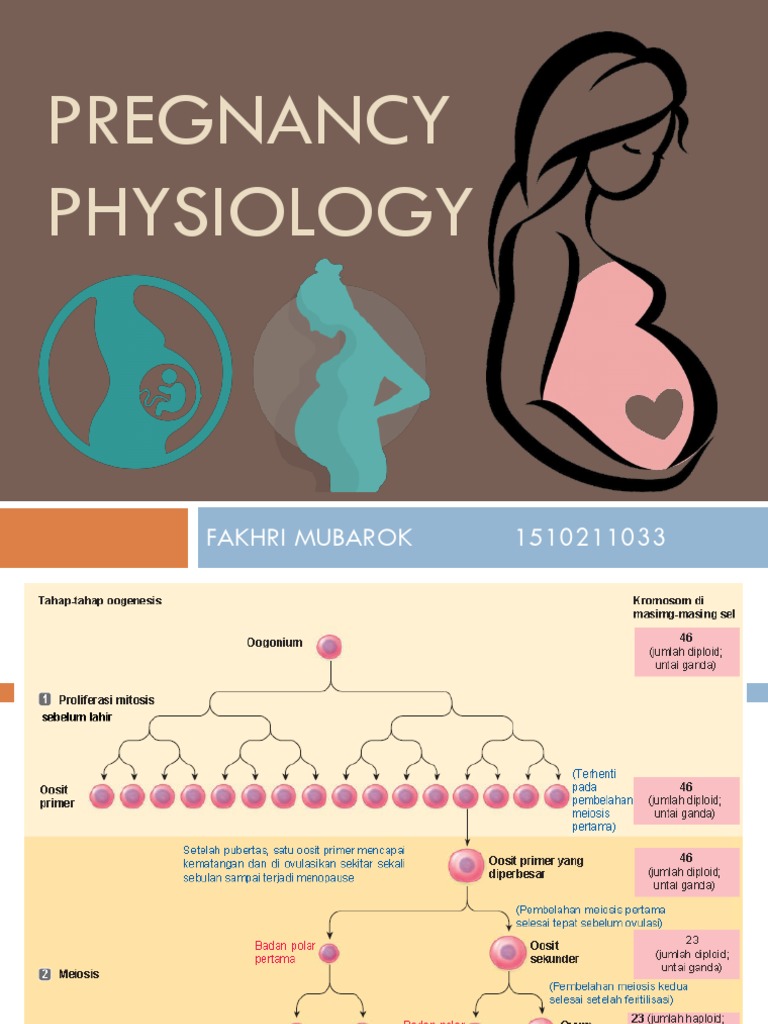 Pregnancy Physiology | PDF